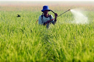 Hidrogel: Daftar Tumbuhan Untuk Bahan Pestisida / Herbisida Organik