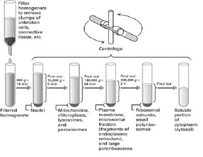 My Scientific Blog - Research and Articles: Centrifugation, a ...