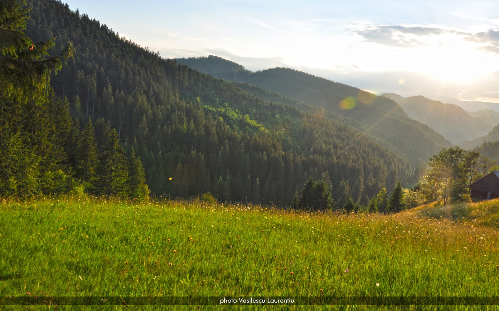 Muntii Bucegi, Moeciu de Sus