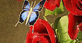 Terkeren 28+ Gambar Bunga Cantik Yang Bergerak - Gambar Bunga Indah