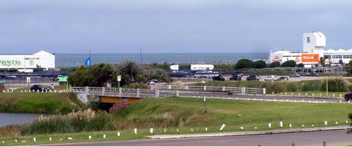 Complejo Punta Mogotes