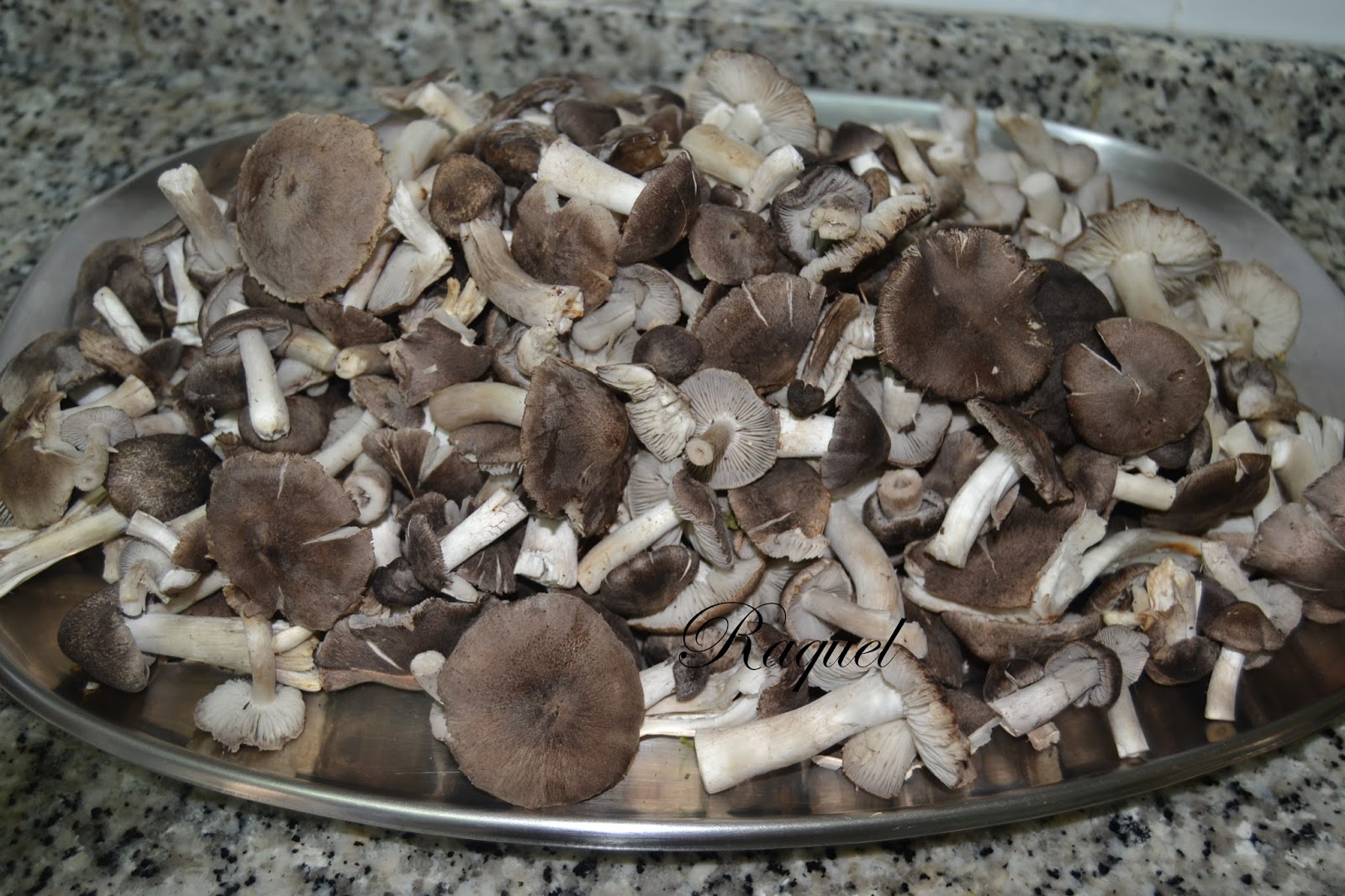 Mi Diversión en la cocina: Fredolics en conserva