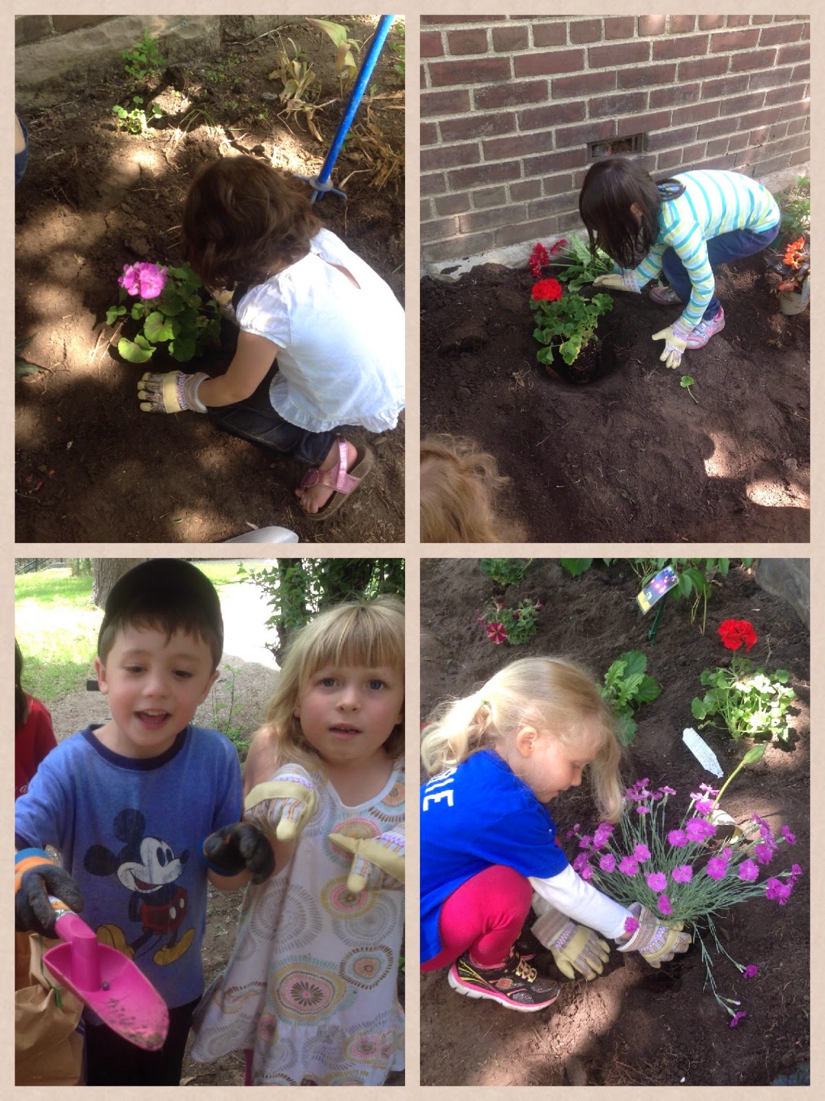 Wonders in Kindergarten: Creating our beautiful flower garden!