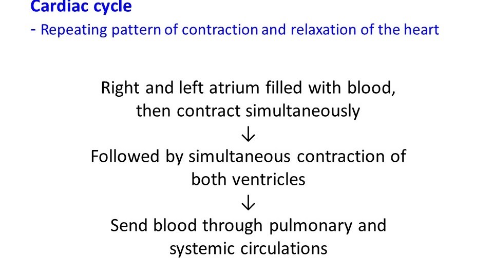 CVT Mohd Farid: Physiology Of The Heart-Cardiac Cycle