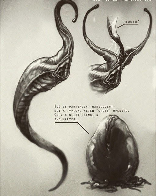 Alien Explorations: Alien 5 Concept Facehugger?