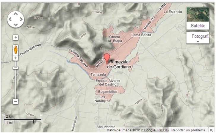 Tamazula De Gordiano: Mapas del sitio