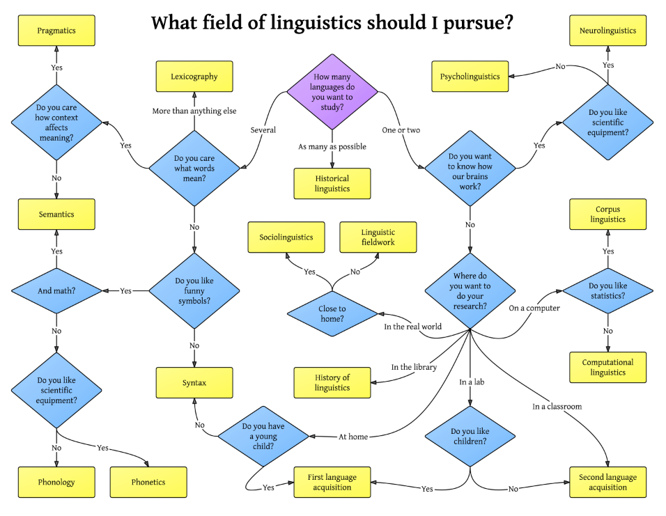 Mr. Verb: Linguistics flowchart: What field?