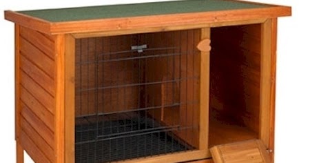 Daily Rabbit Care - You MUST supplies for your rabbit!