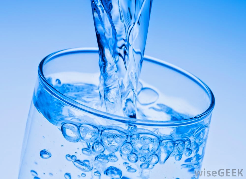 human anatomy: FANTASTIC FIVE : WATER FUNCTIONS