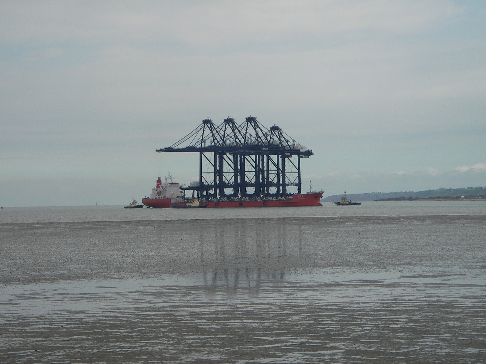 Notes from Kent's Hoo Peninsula: Grain Coastal Park (Isle of Grain ...