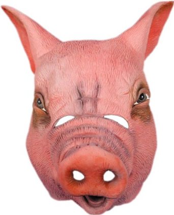 PIG HEAD MASKS: Pig Head Mask