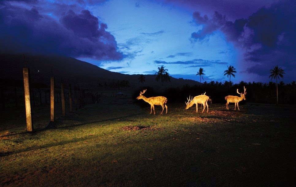 Camarines Sur’s 7 Beautiful Places At Its Best | Blogs, Travel Guides ...