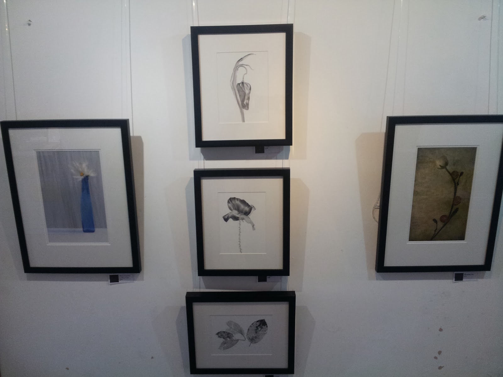 thanetonline: Cherry Larcombe Photographer Exhibition at The York ...