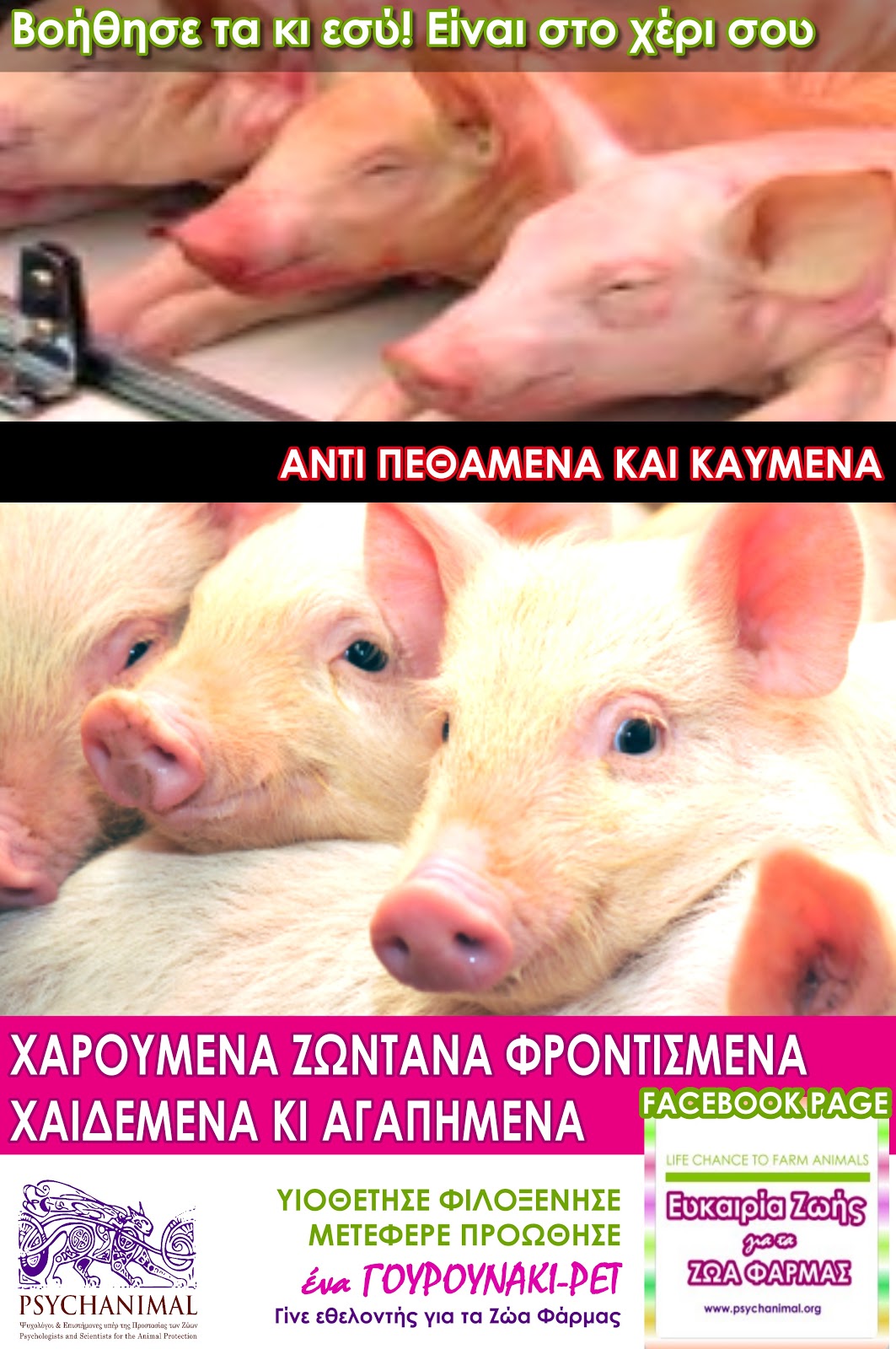 Ευκαιρία Ζωής για τα Ζώα Φάρμας: Αφίσες Ευαισθητοποίησης