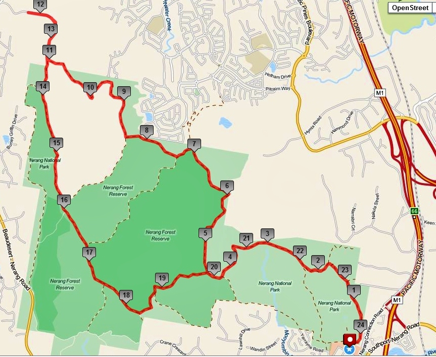 An Igorot Journey: Nerang State Forest trail run 2013