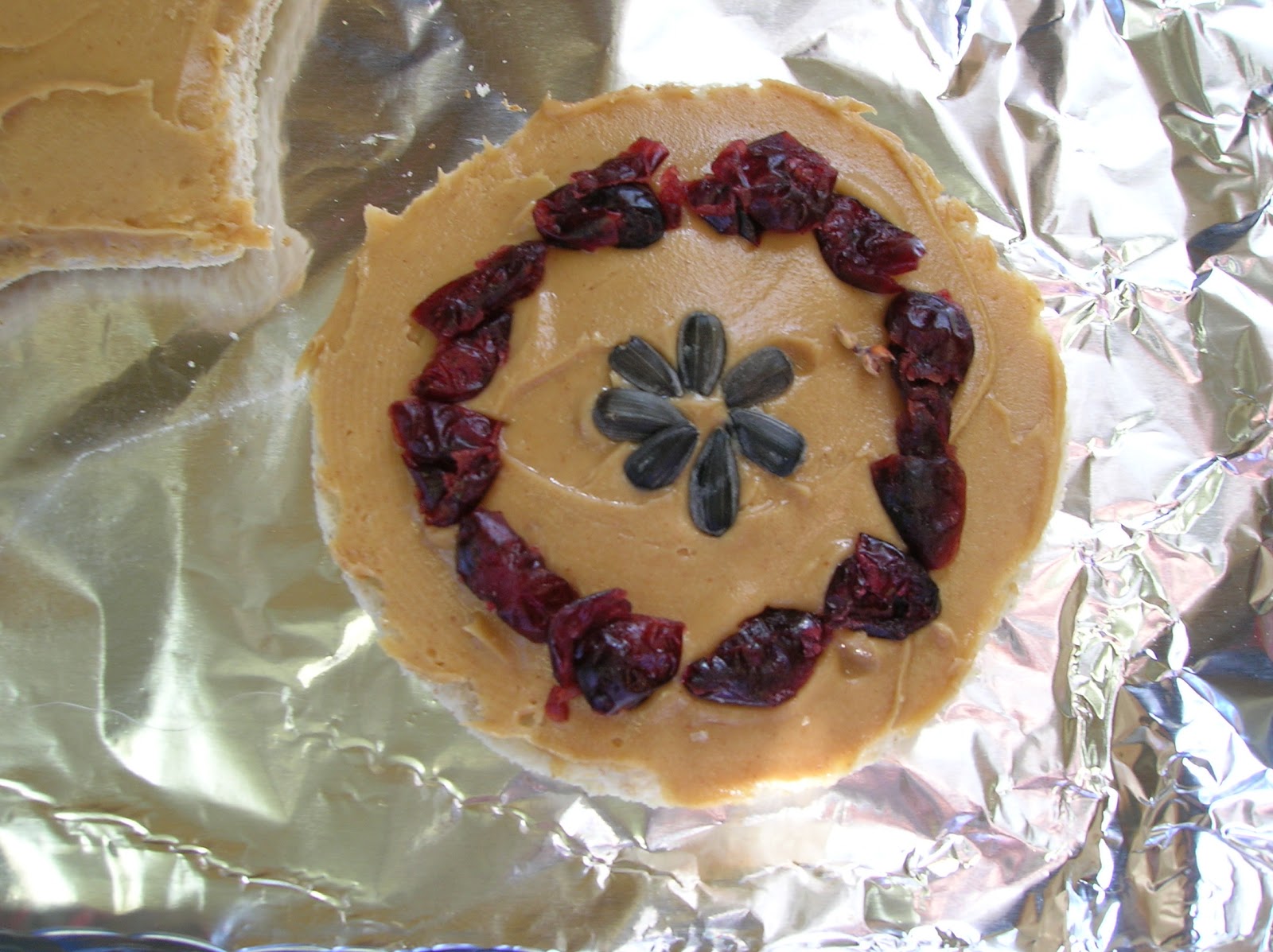 My Creative Mommy: Bird Seed Treats