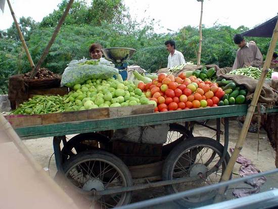 Pakistani fruit stalls ~ All About Pakistan
