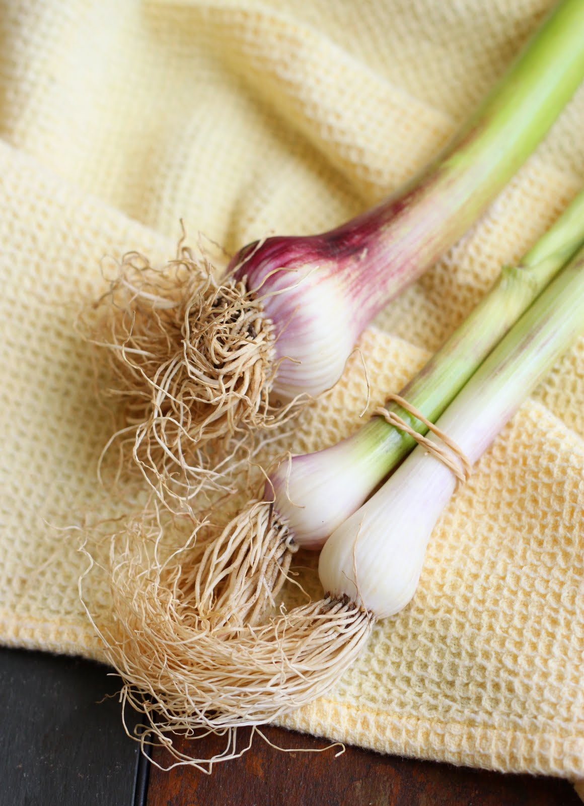 The Cilantropist: Spring Quiche: Asparagus, Green Garlic, and Humboldt Fog