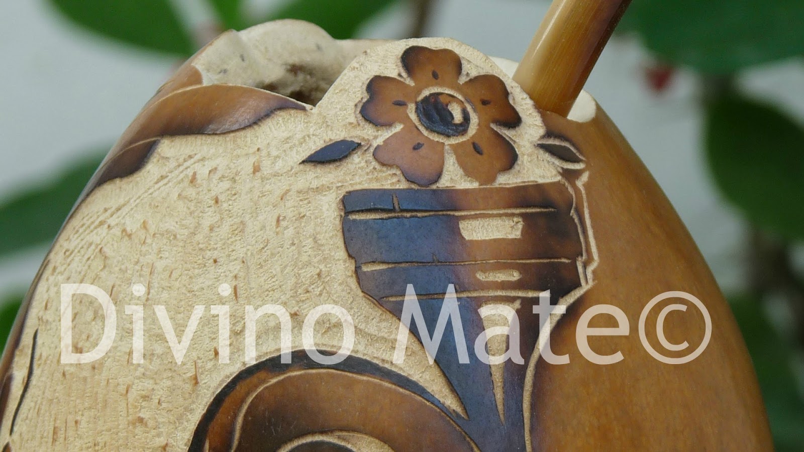 Divino Mate : Divino Mate Fileteado