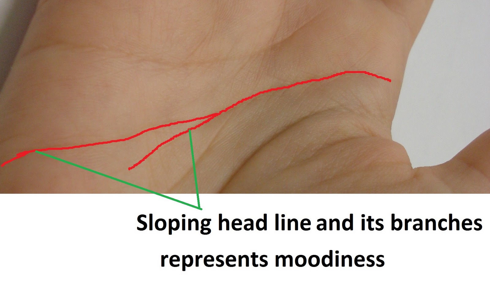 palmistry: Know your Future: I´m interesting know about my ...