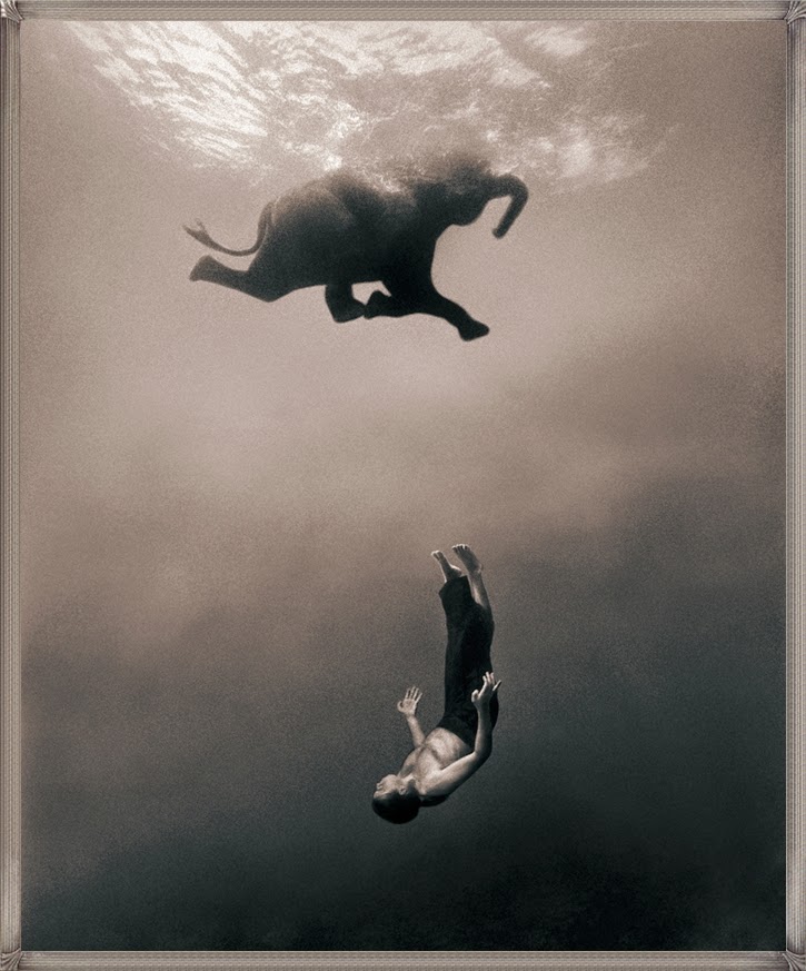 Ostáriz Art Gallery: Gregory Colbert