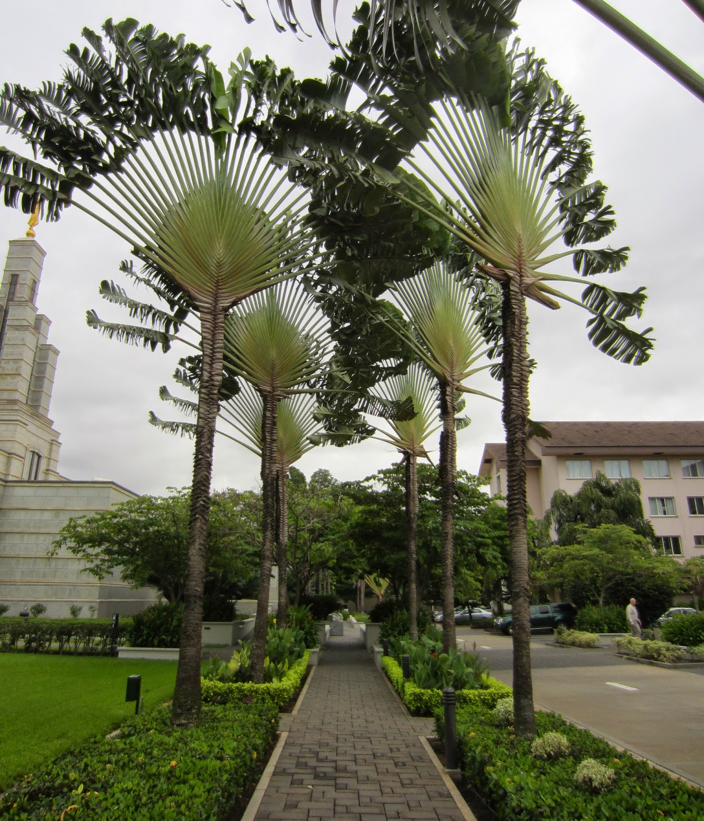 Souvenir Chronicles: AFRICA: ACCRA GHANA MISSIONARIES AND THE LDS TEMPLE