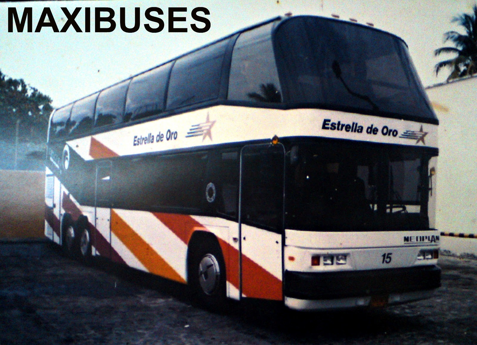 MAXIBUSES: ESTRELLA DE ORO CRUCERO