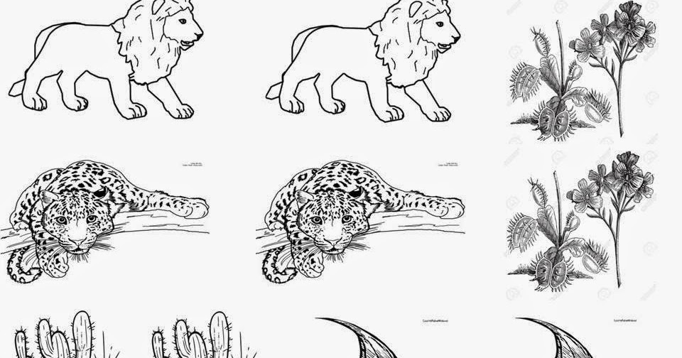 biologia 802: ADAPTACION FISIOLOGICA