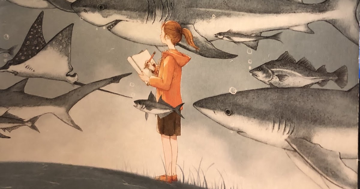 Middle Grade Minded: Review: The Line Tender, by Kate Allen