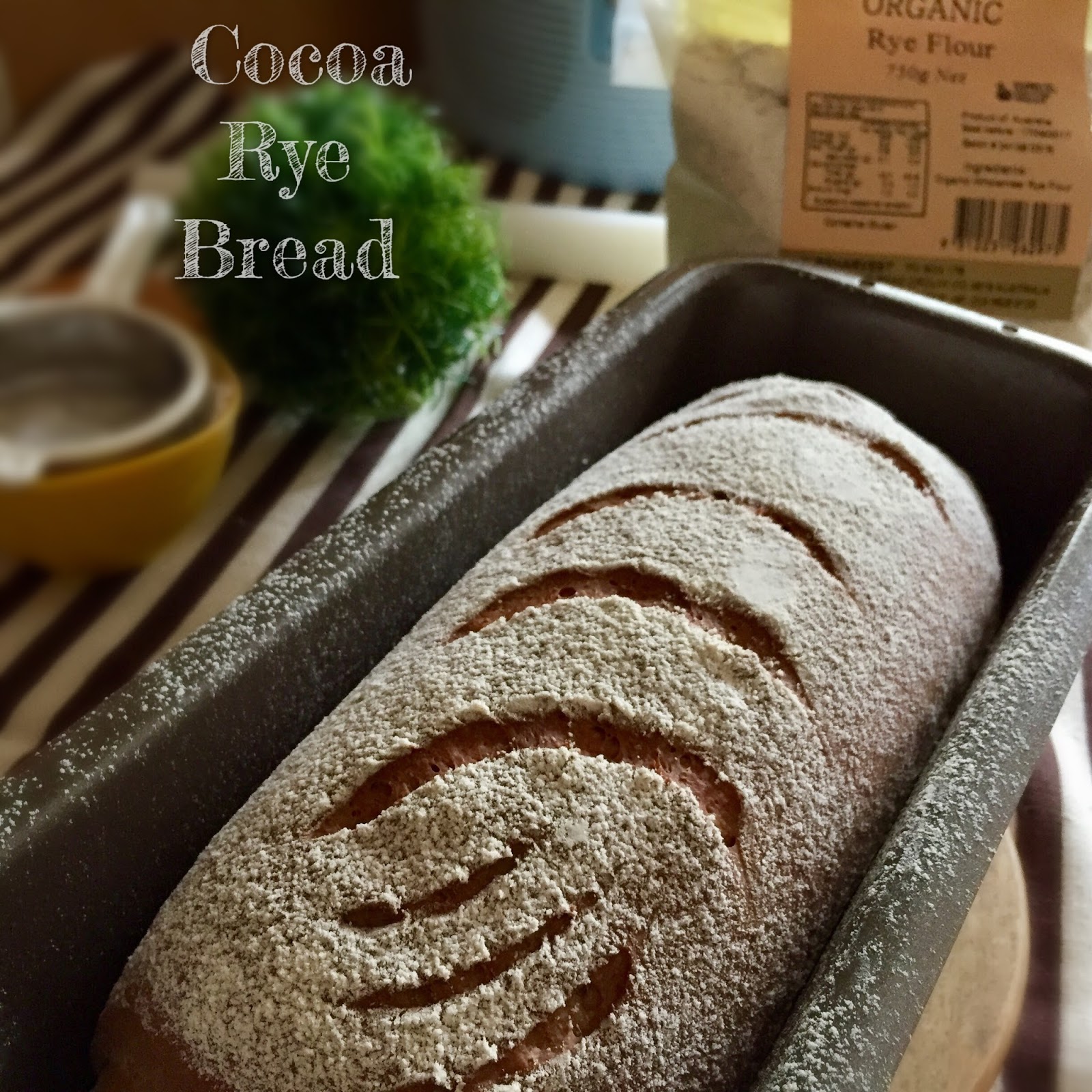 My Mind Patch: Light Cocoa Rye Bread 黑麦面包