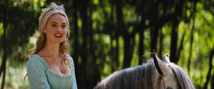 Vixen Vintage: {Cinderella} Ella + Kit