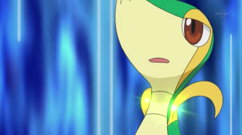 Pokémon Era Black: BW Attack Dex: Snivy