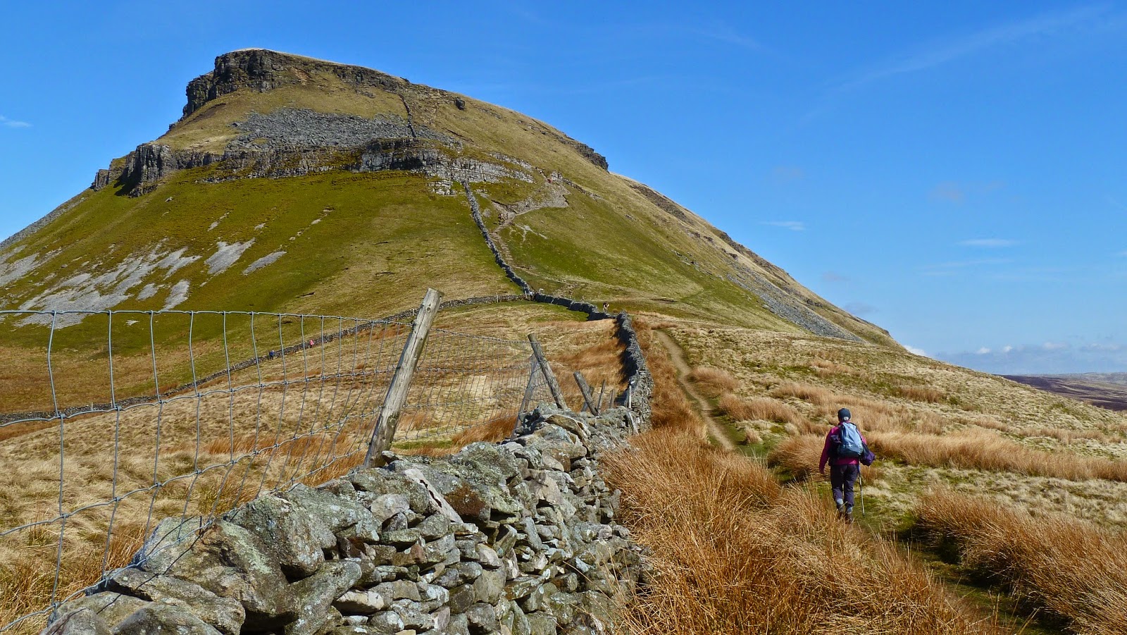 Orchids,Nature and My Outdoor Life: Pen-y-ghent... it never disappoints
