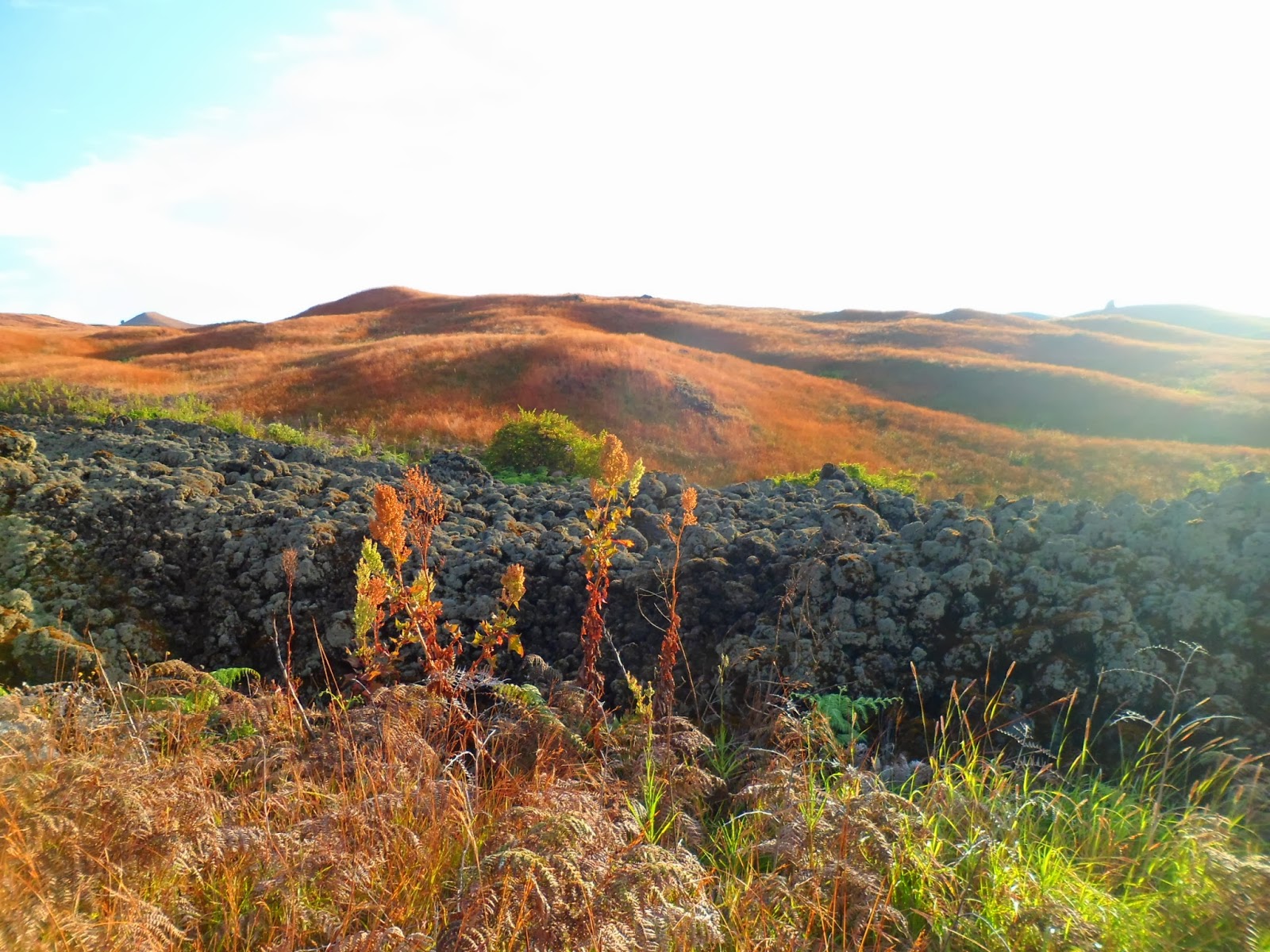 Caminos y miradas: Ascenso al Monte Camerún... y descenso