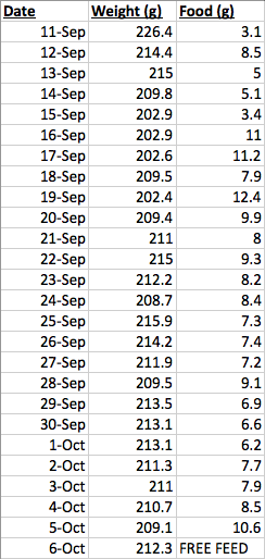 PY408 Learning Blog: Li'l Sebastian