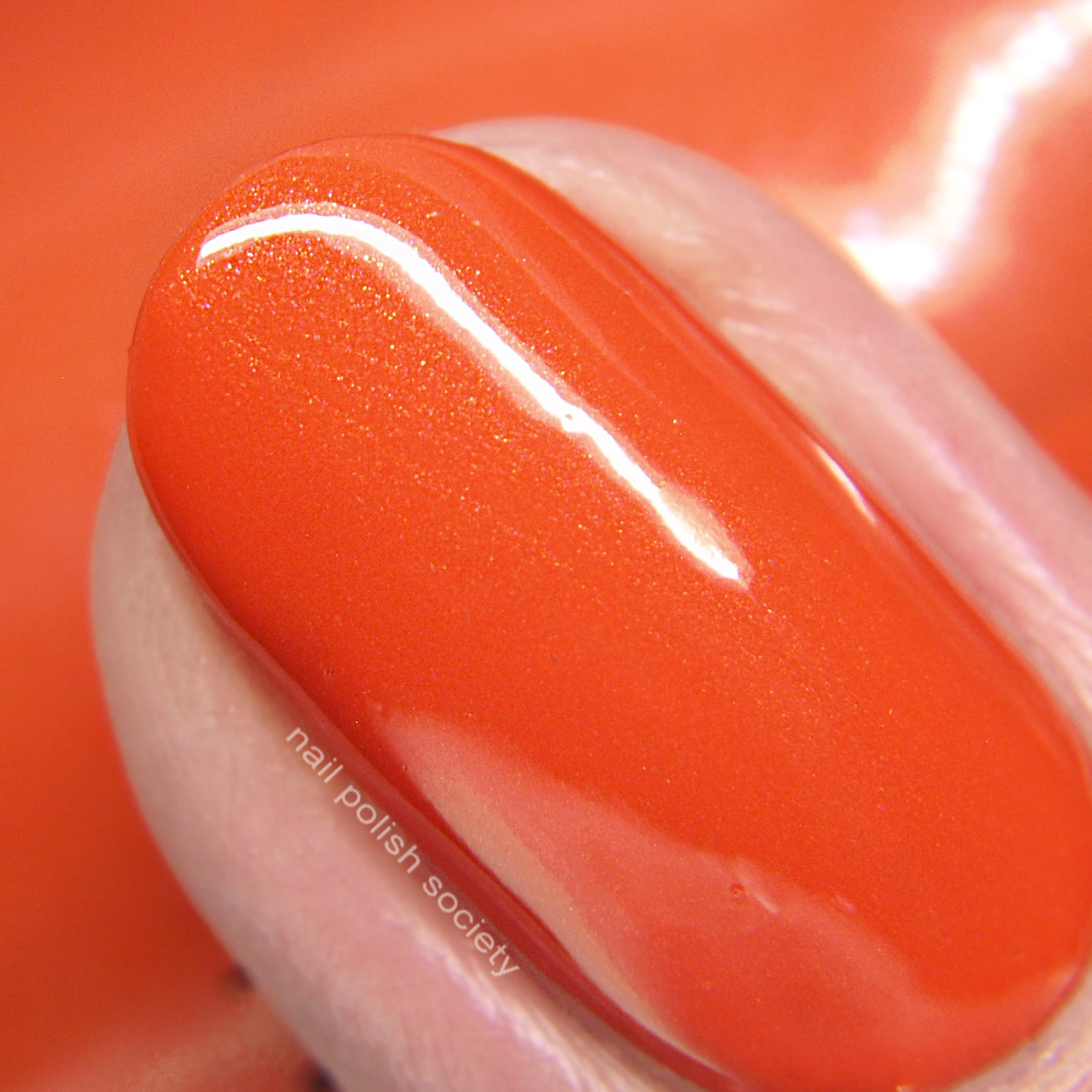 Nail Polish Society: Sinful Colors x Vanessa Hudgens Festival Collection