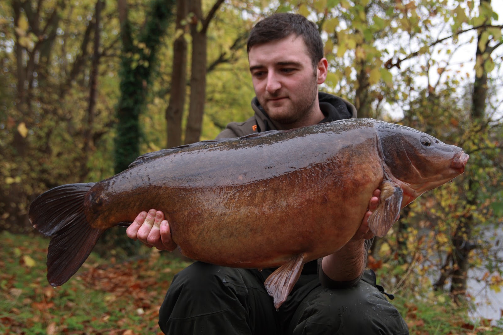 Stokoude karper gevangen in Engeland