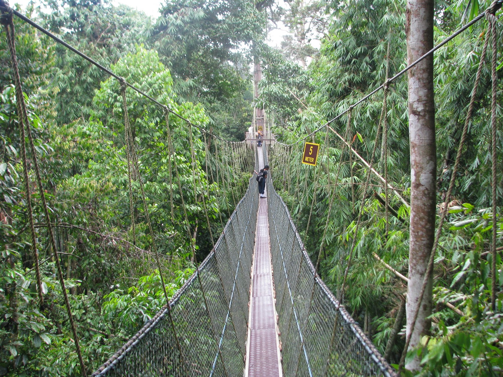 Ecotourism in Malaysia: One of the most oldest National Park in ...