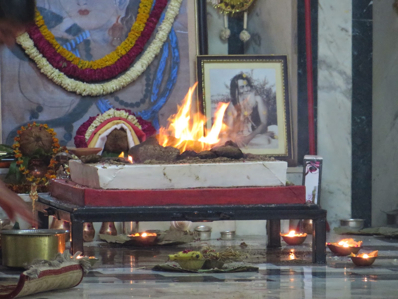 Waltzing Horses: 41st Pahari Baba Ashram Birthday