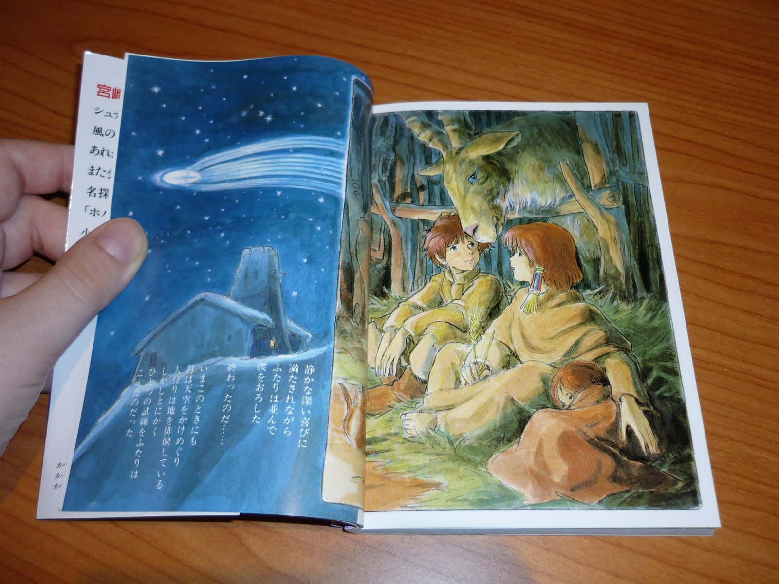 Memories of Sayuri: Mis colecciones: Studio Ghibli