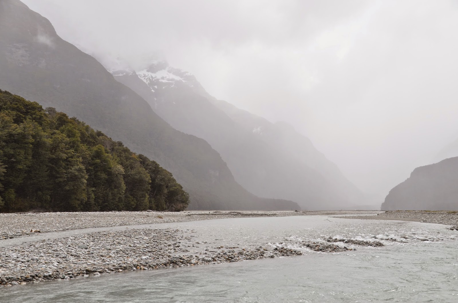 bwisegardening: Grief Is A River