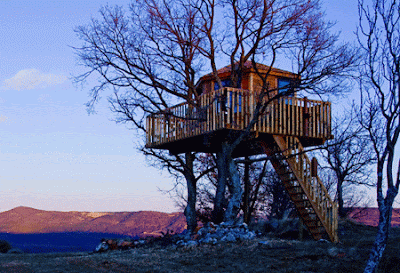 | Tree Houses | House on Trees | Sweet Tree Houses | Beautiful Tree ...