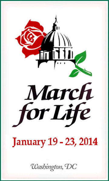 RORATE CÆLI: Events: Mundelein Seminarians in ChicagoMass for March for ...