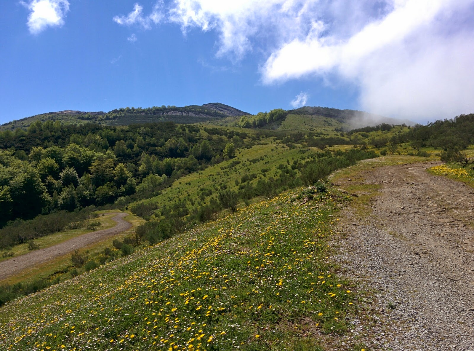 A lo bouzo: Alto de la Texera desde Cotobello [Aller]