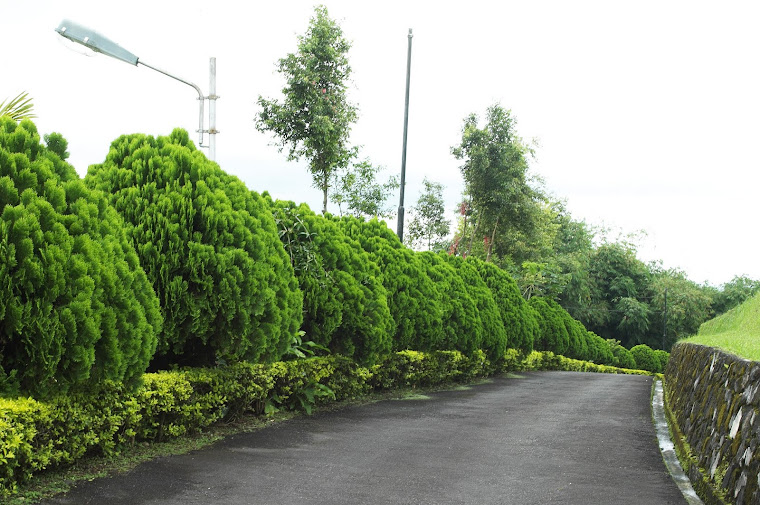 Biara Santa Klara Sikeben: Siapa dan Bagaimana