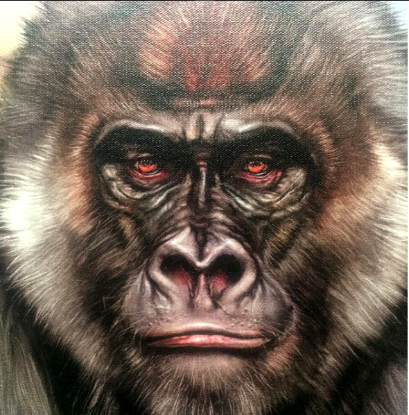 Martin Katon Art Studio: Paintings Available