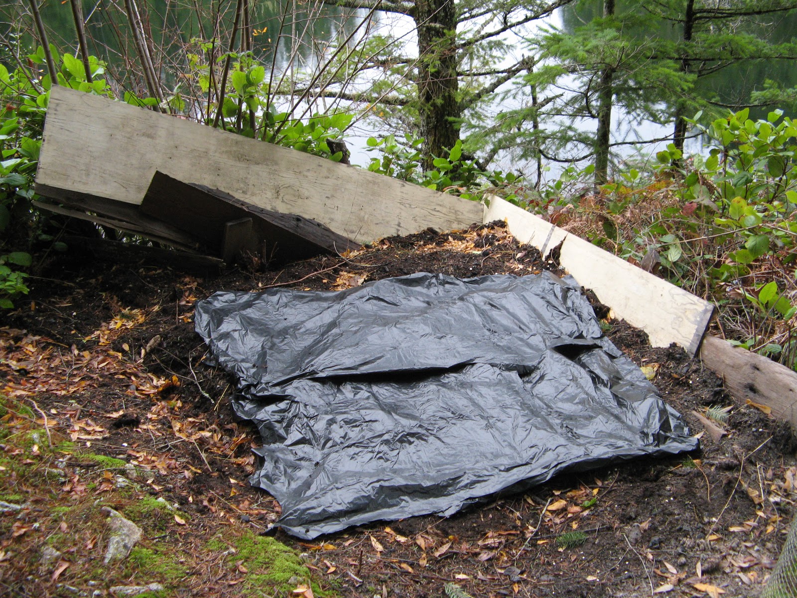 Powell River Books Blog: Compost Pit Completes Full Cycle