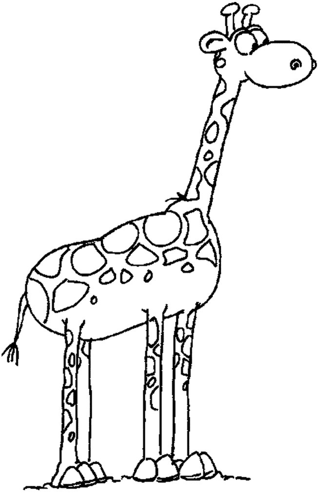 Foto Divertenti Disegno Giraffa Da Colorare