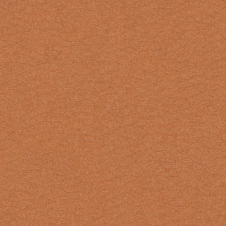 HIGH RESOLUTION TEXTURES: Skin