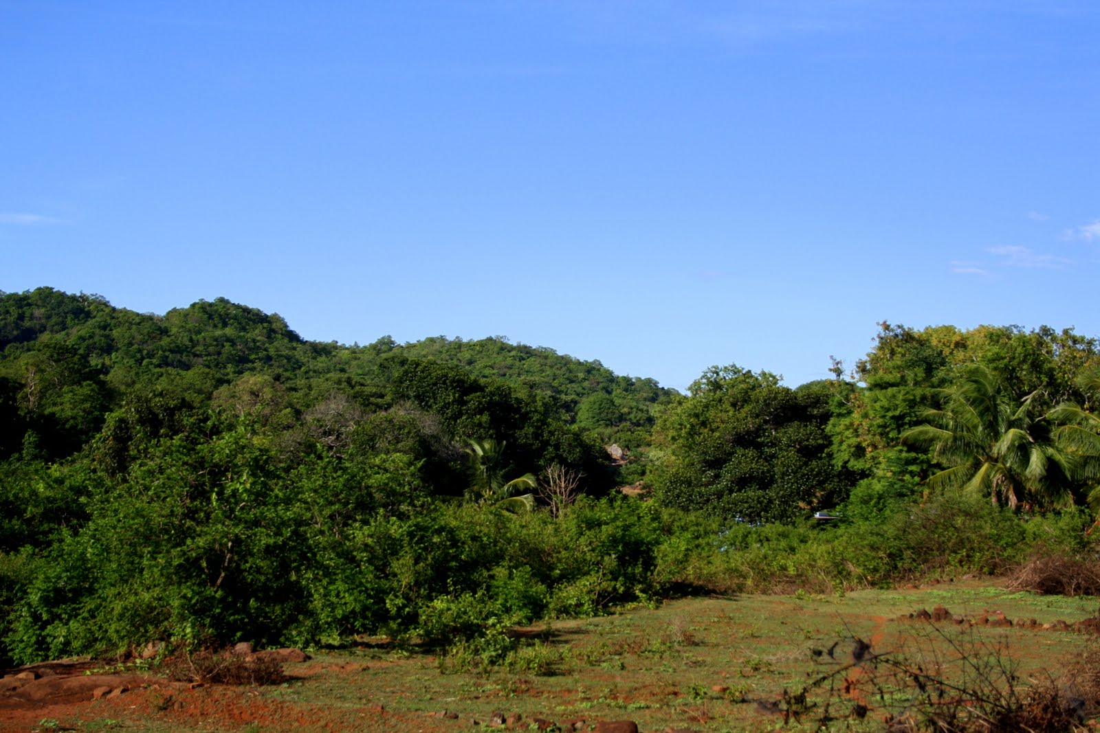 Tamilnadu Tourism: Javadi Hills, Thiruvannamalai